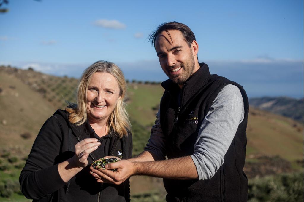 Arvanitakis Olivenöl